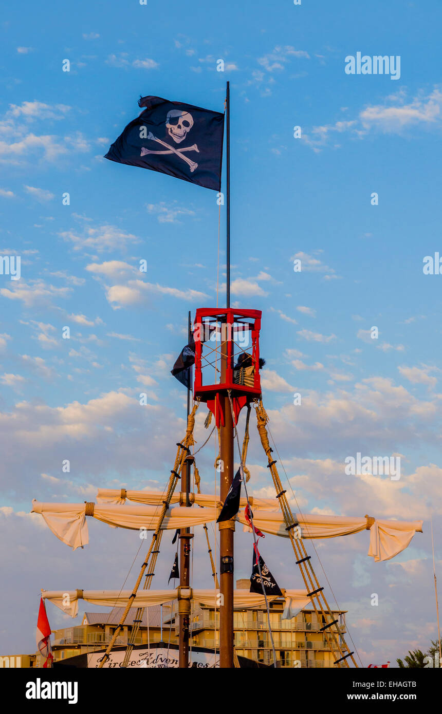 Davy Jones Pirate Flag