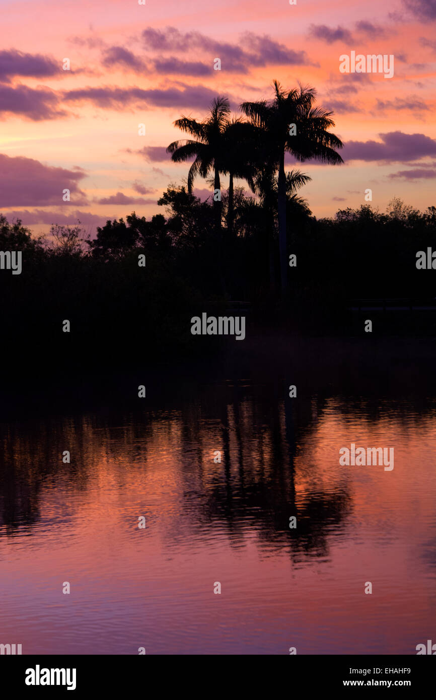 Dawn over the Florida Everglades Stock Photo - Alamy