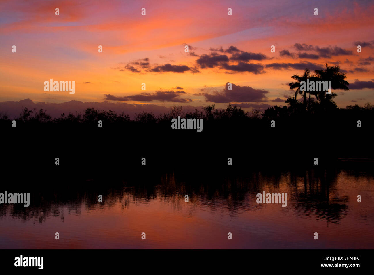Dawn over the Florida Everglades Stock Photo - Alamy