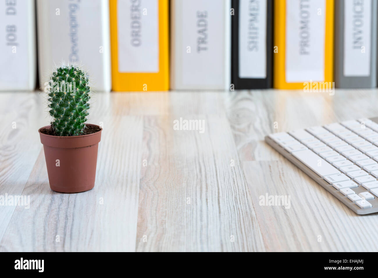 Office composition with cactus Stock Photo - Alamy