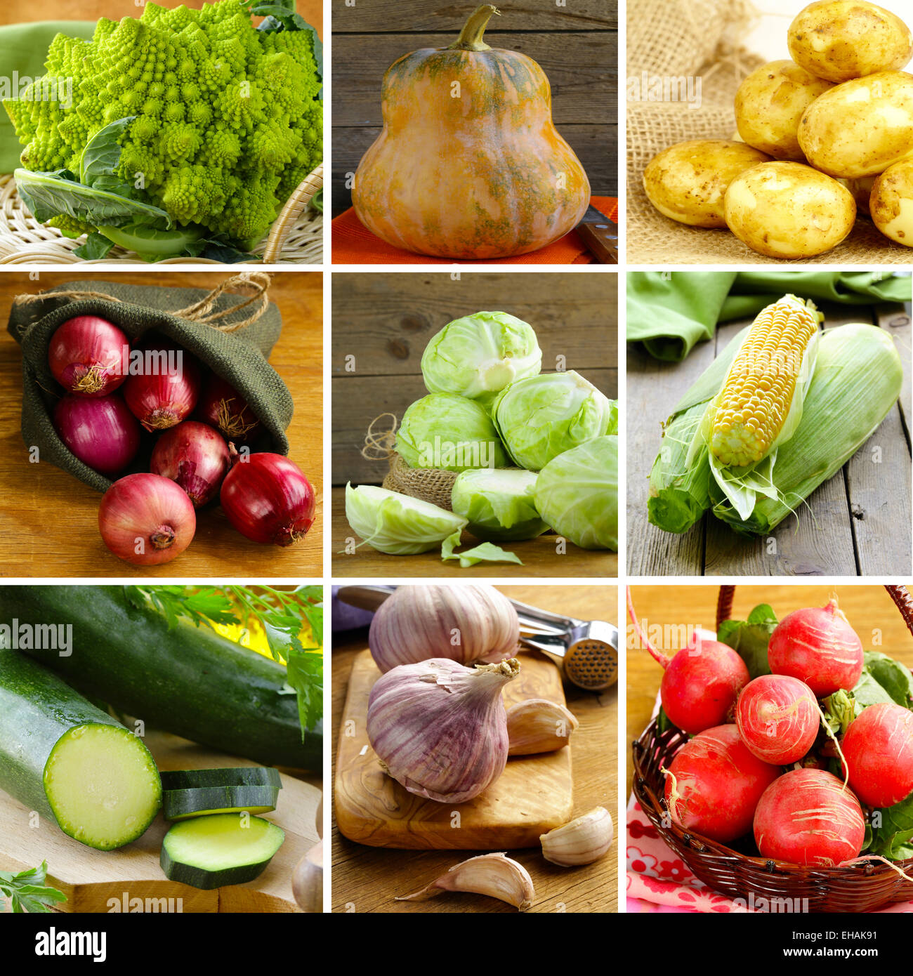 collage of different vegetables (cabbage, radishes, potatoes, zucchini ...