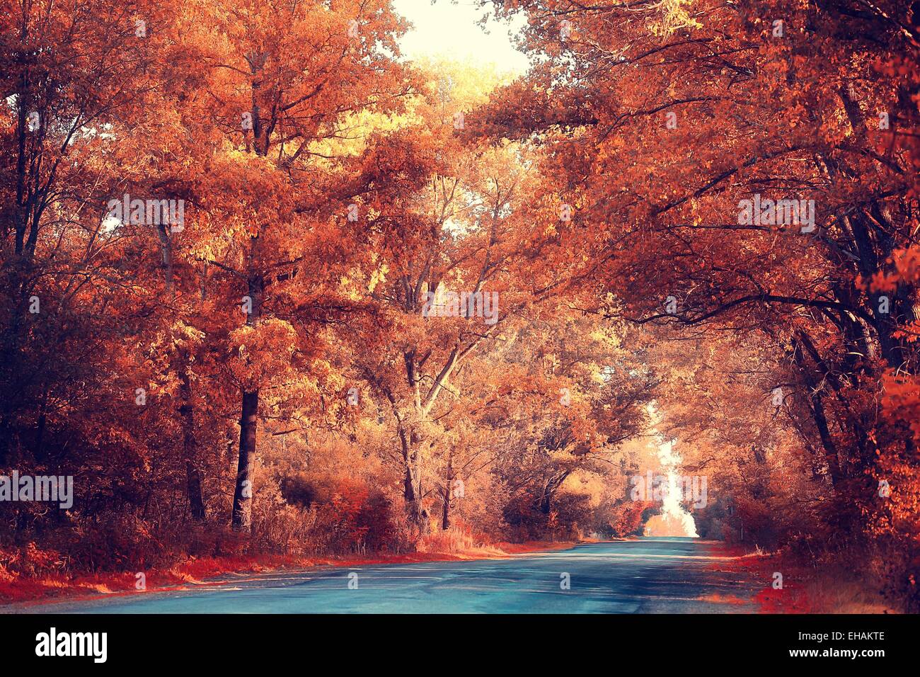 golden autumn landscape Indian summer Stock Photo - Alamy