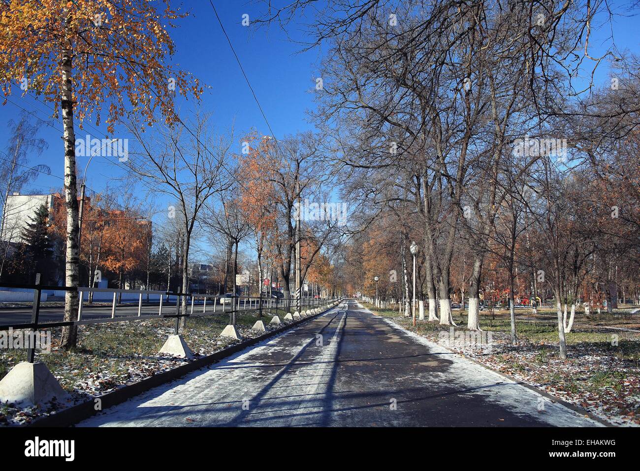 landscape park autumn trees snow forest Stock Photo - Alamy