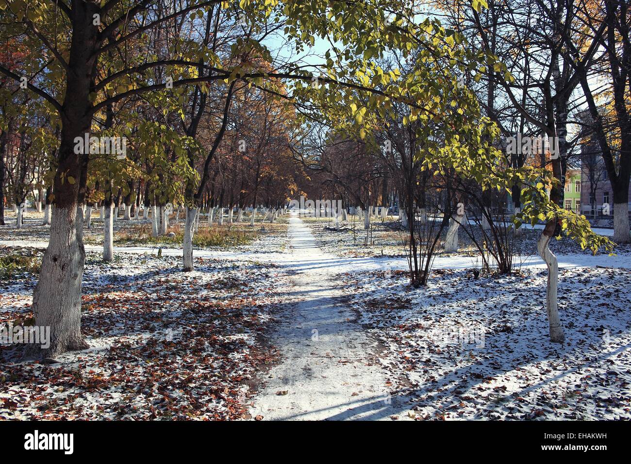 landscape park autumn trees snow forest Stock Photo - Alamy