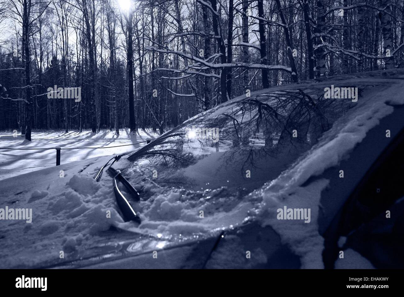 Frozen winter forest hi-res stock photography and images - Alamy