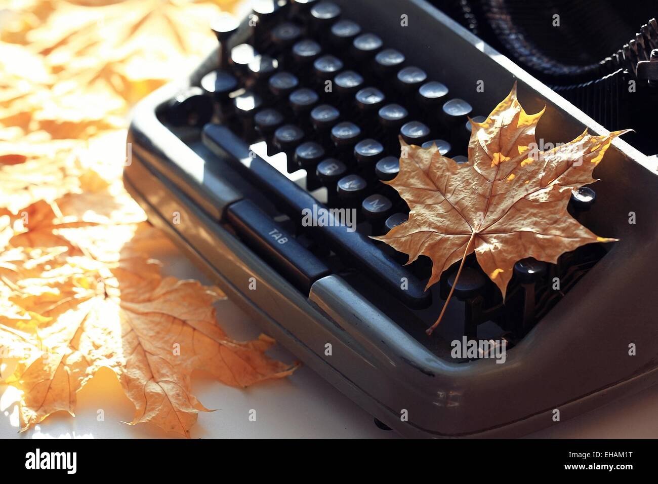 old typewriter concept autumn Stock Photo - Alamy
