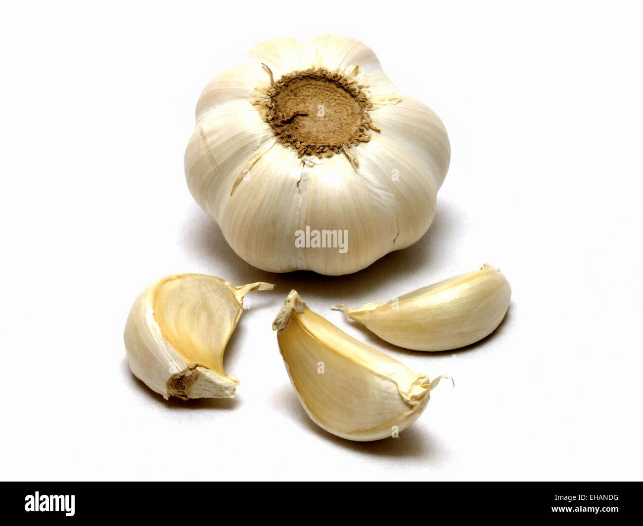 Garlic plants Cut Out Stock Images & Pictures - Alamy