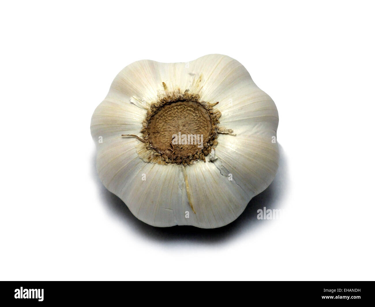 Knoblauch / garlic Stock Photo - Alamy