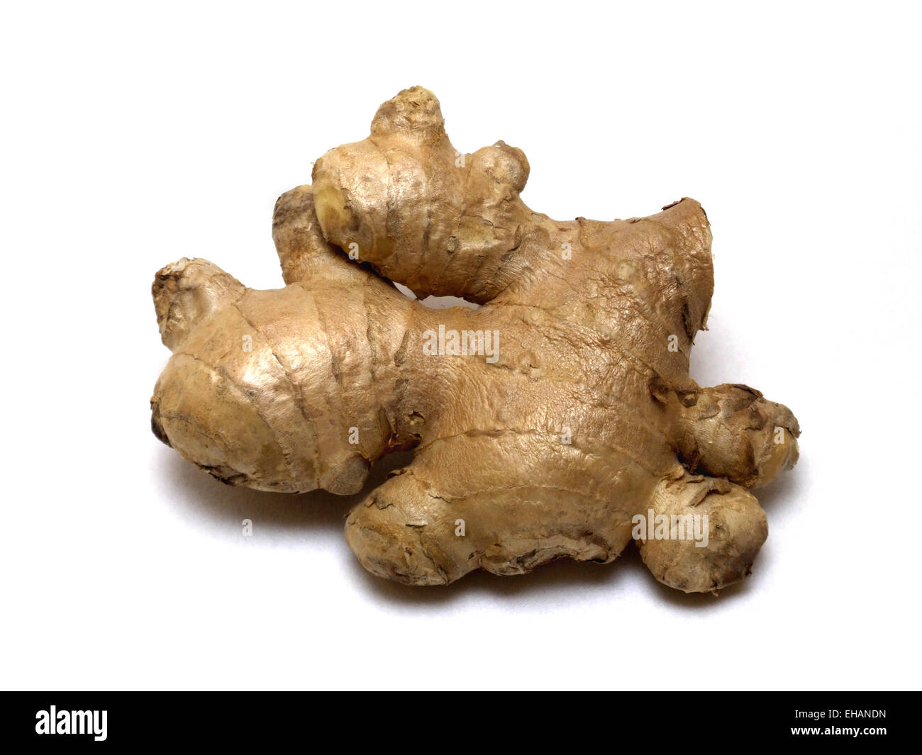 Ginger plants Cut Out Stock Images & Pictures - Alamy