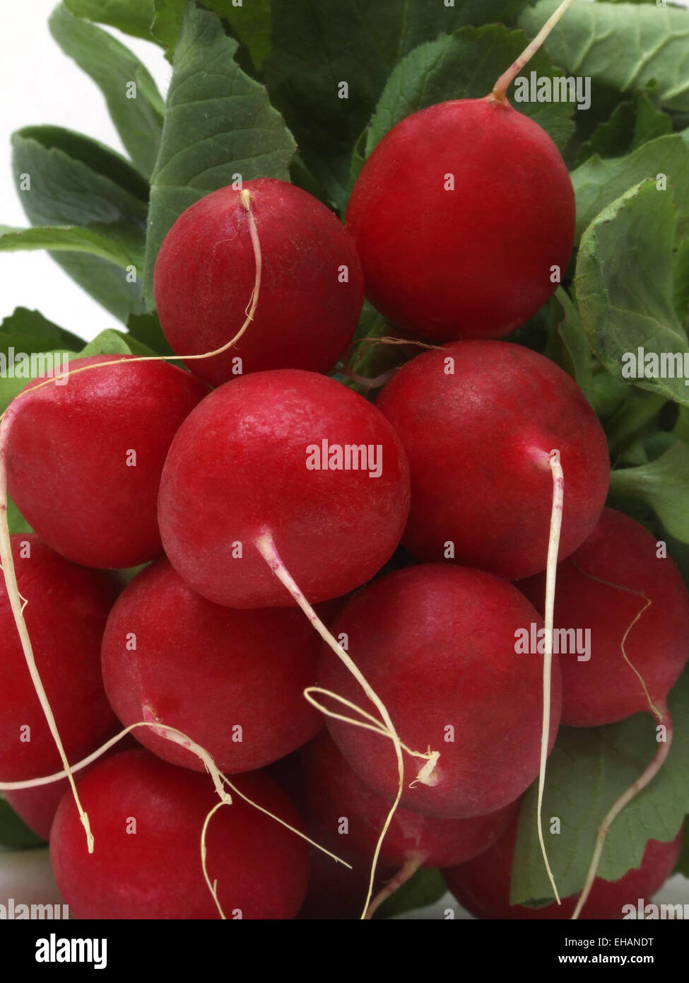 Radieschen hi-res stock photography and images - Alamy