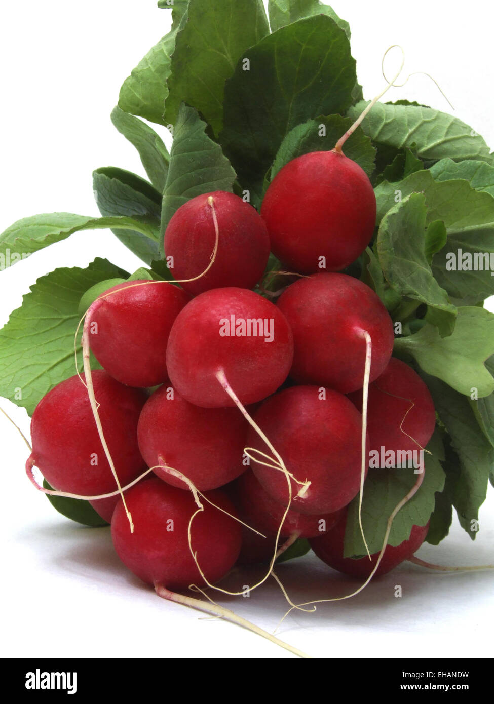 Radieschen / radishes Stock Photo - Alamy