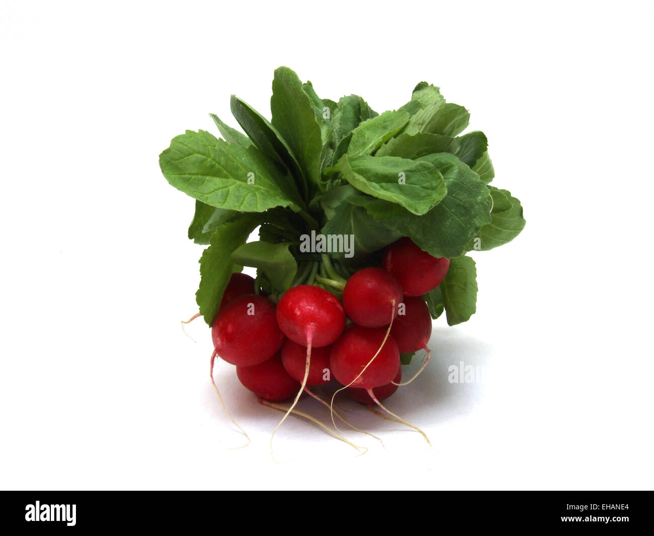 Radieschen hi-res stock photography and images - Alamy