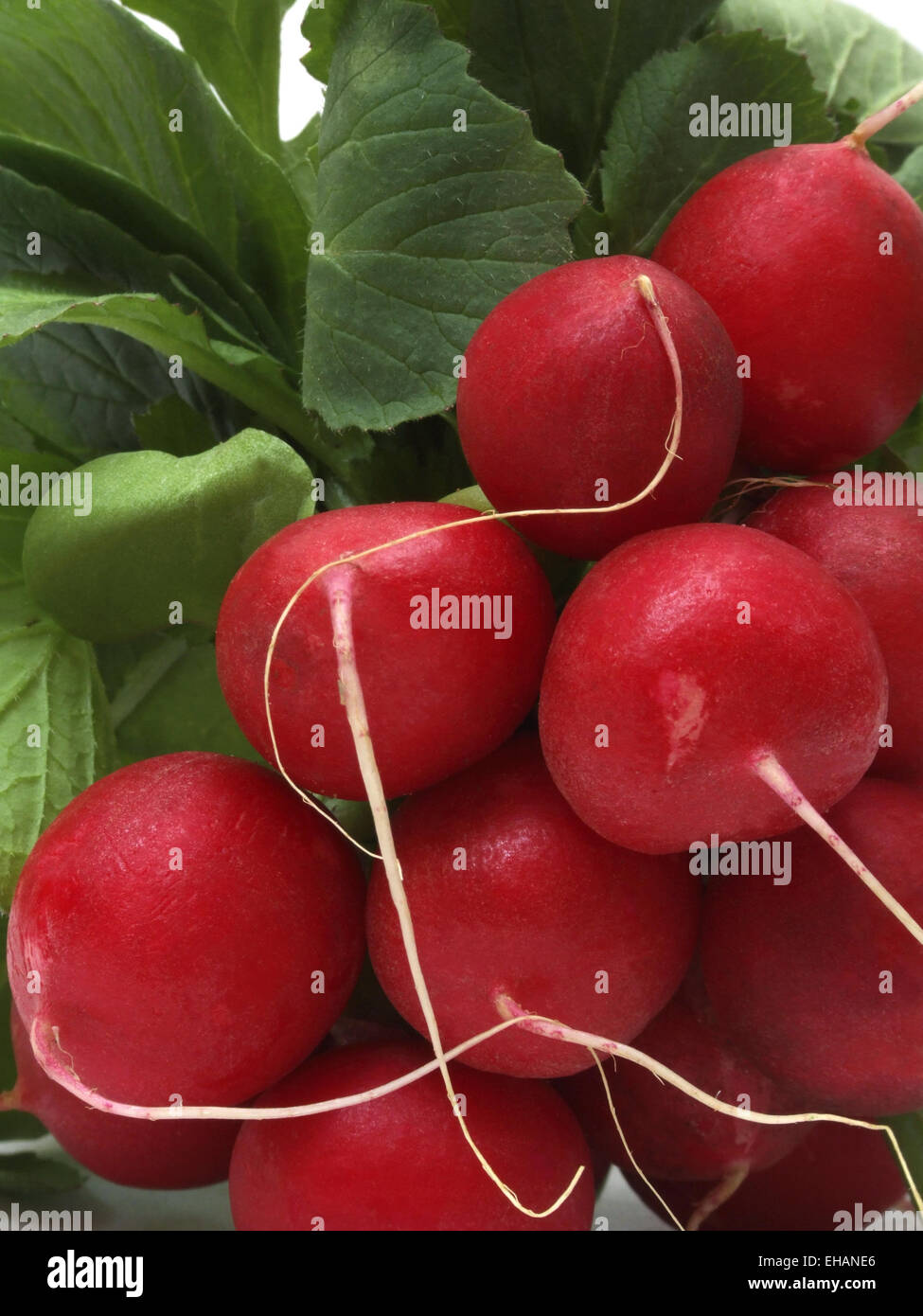 Radieschen hi-res stock photography and images - Alamy