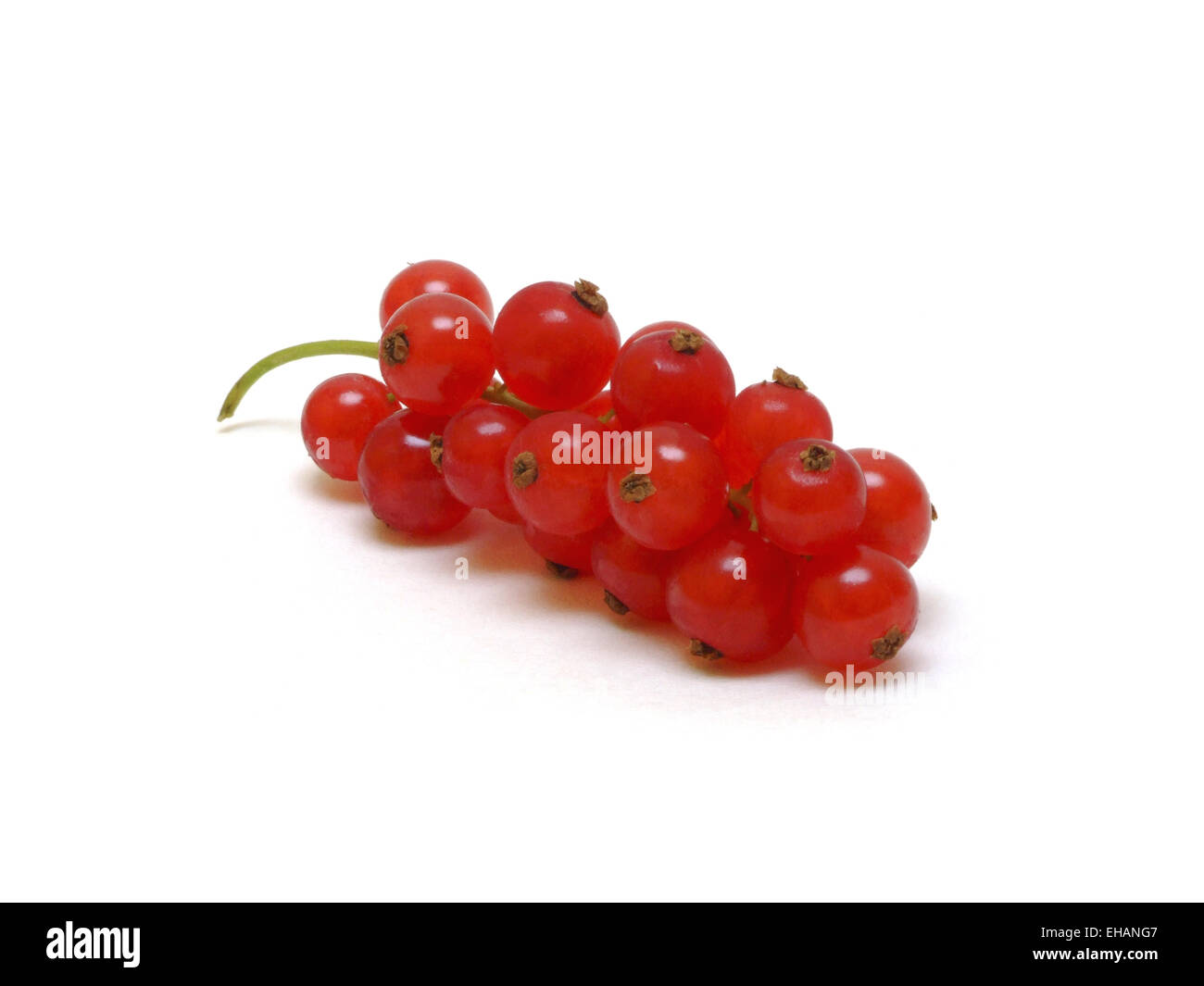 Currants ribes rubrum hi-res stock photography and images - Alamy