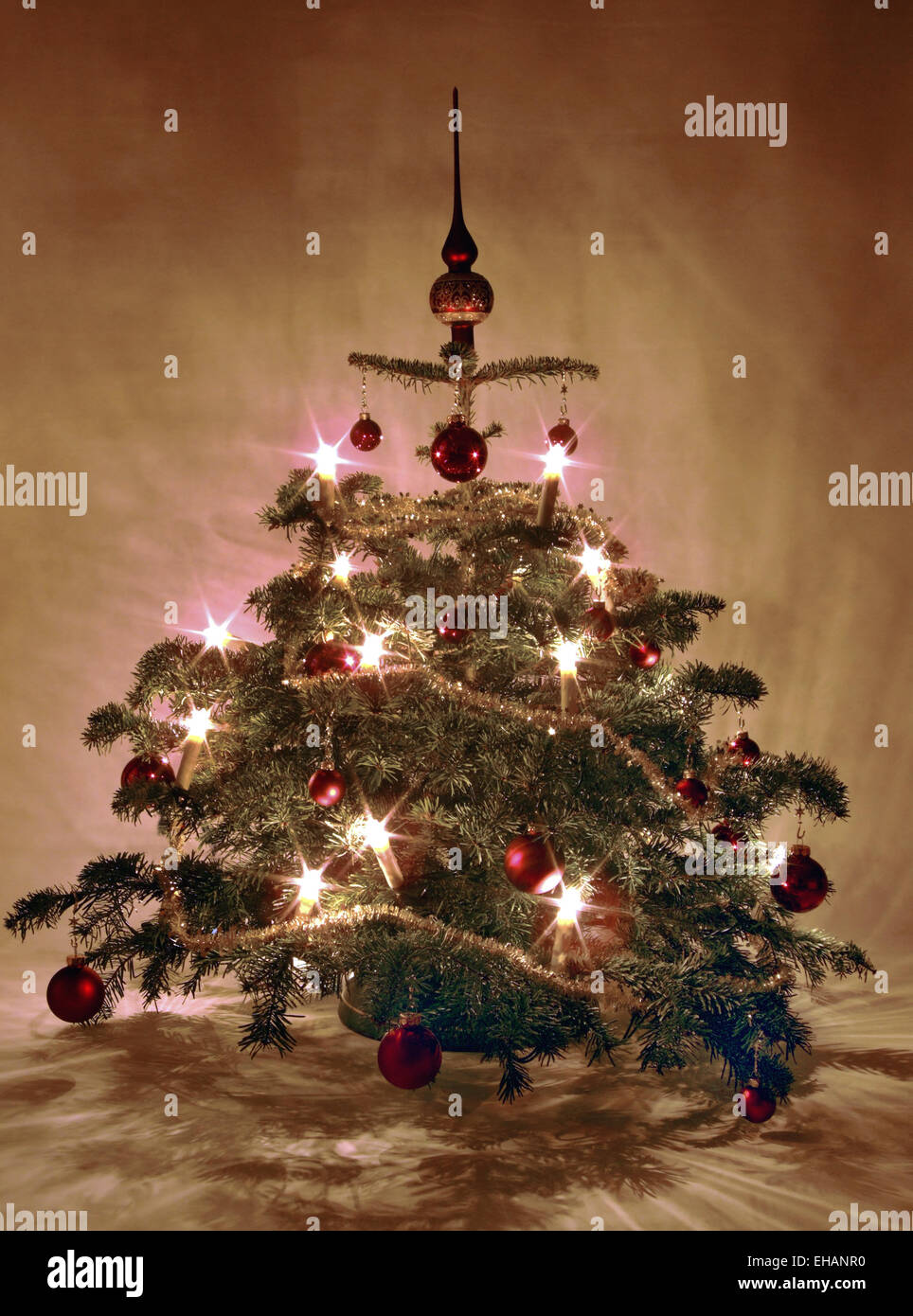 Baum symbole hi-res stock photography and images - Alamy
