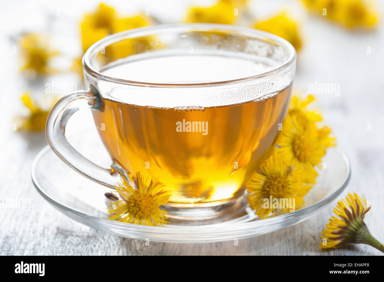herbal tea with coltsfoot flowers Stock Photo - Alamy