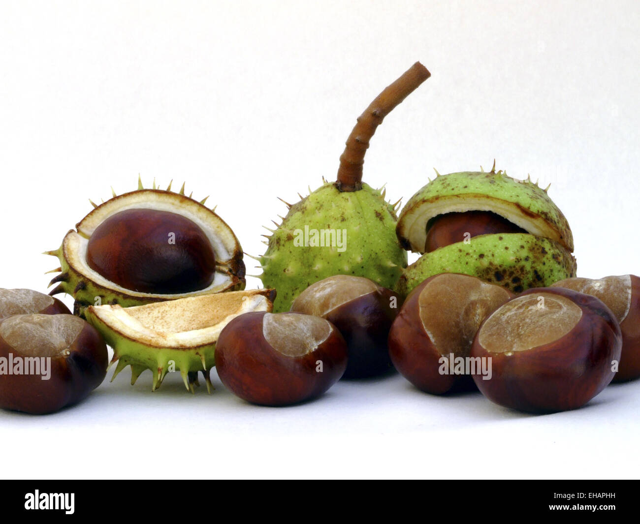 Kastanien baum herbst hi-res stock photography and images - Alamy