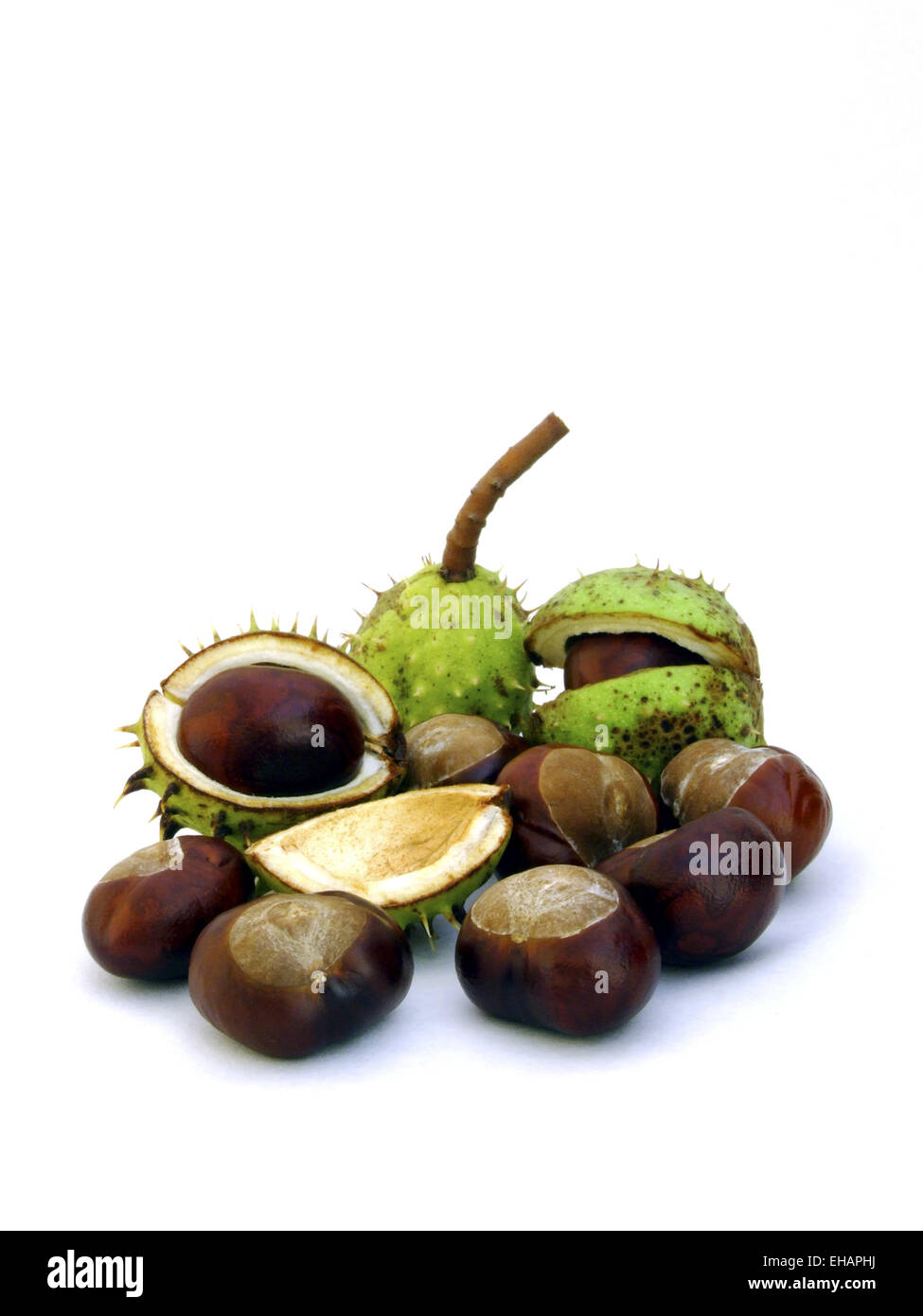 Kastanien Baum Herbst High Resolution Stock Photography and Images - Alamy