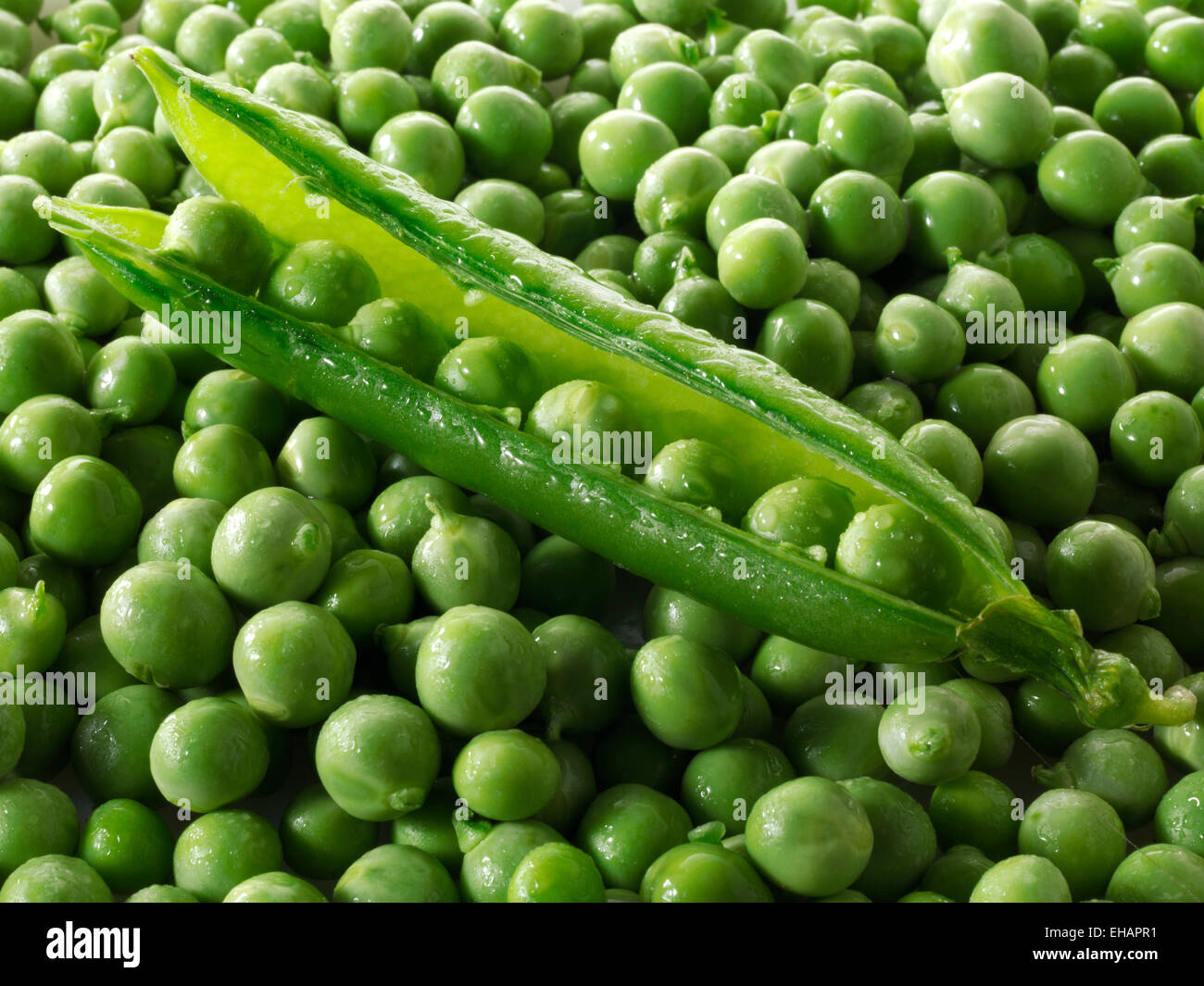 Full frame food still life of raw fresh picked garden peas and pea pods ...