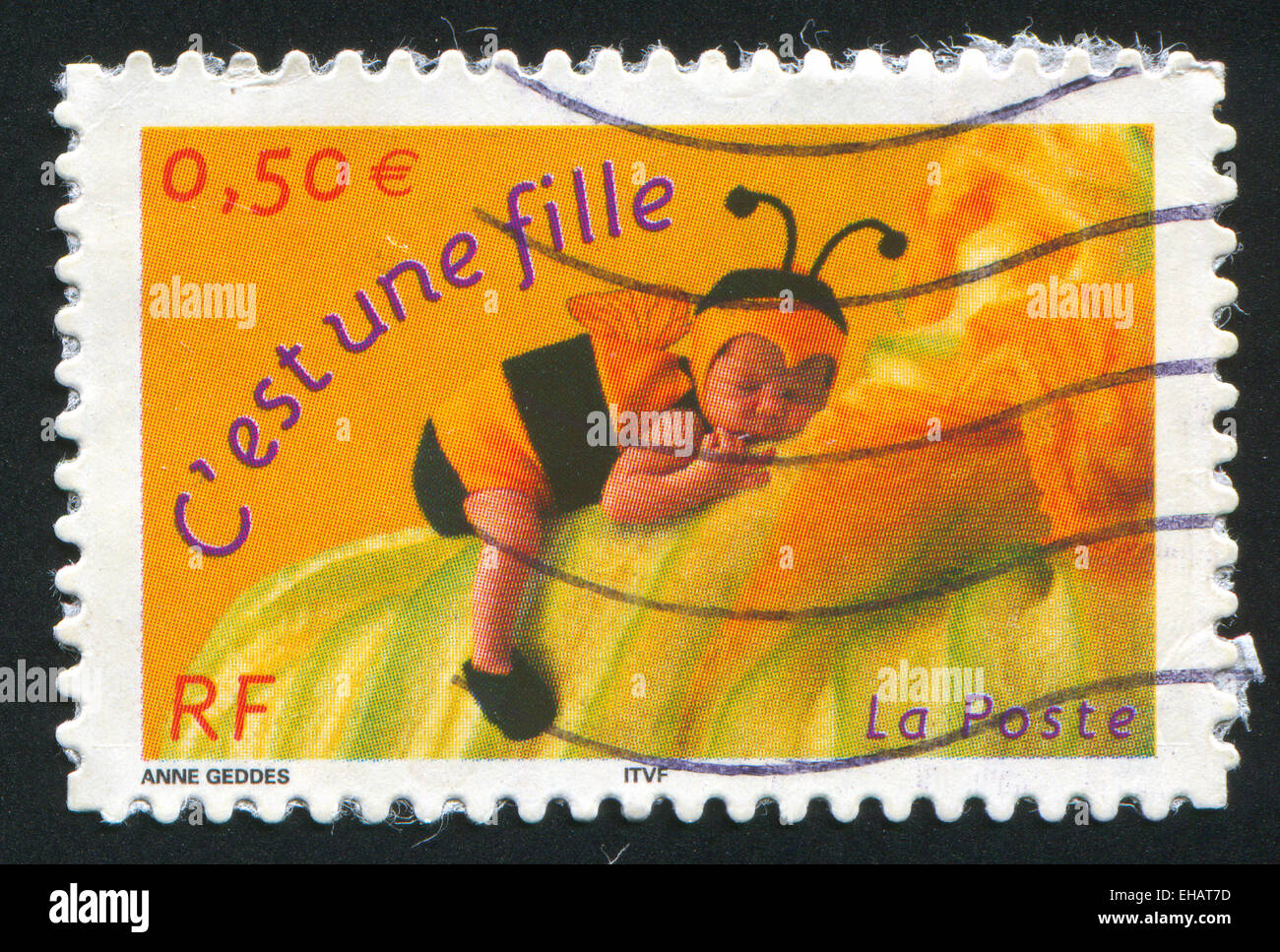 Baby bumblebee hi-res stock photography and images - Alamy