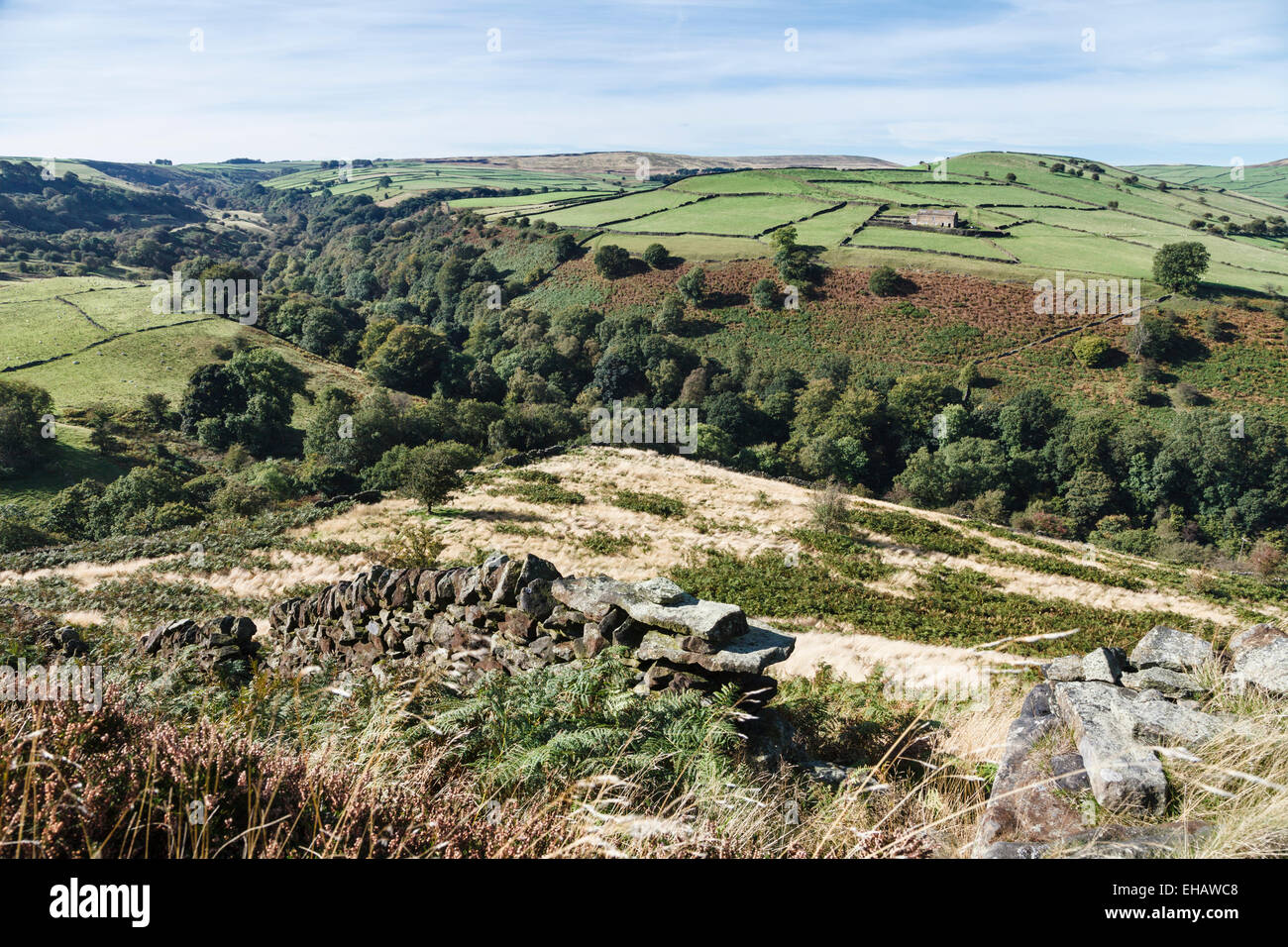 Abney low hi-res stock photography and images - Alamy