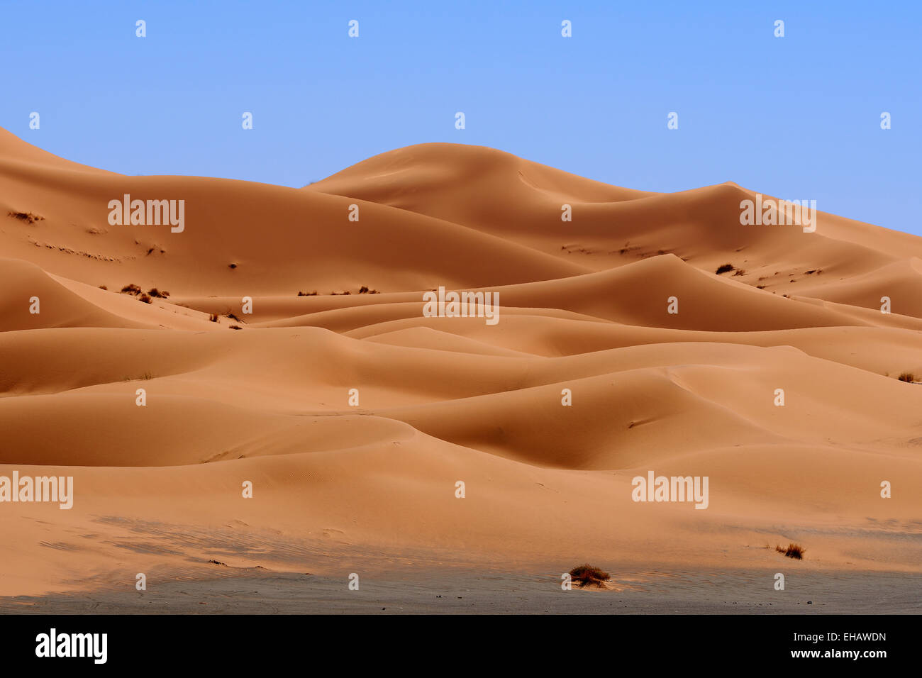 Merzouga, Erg Chebbi, Merzouga sand dunes, Sahara Desert, Morocco ...