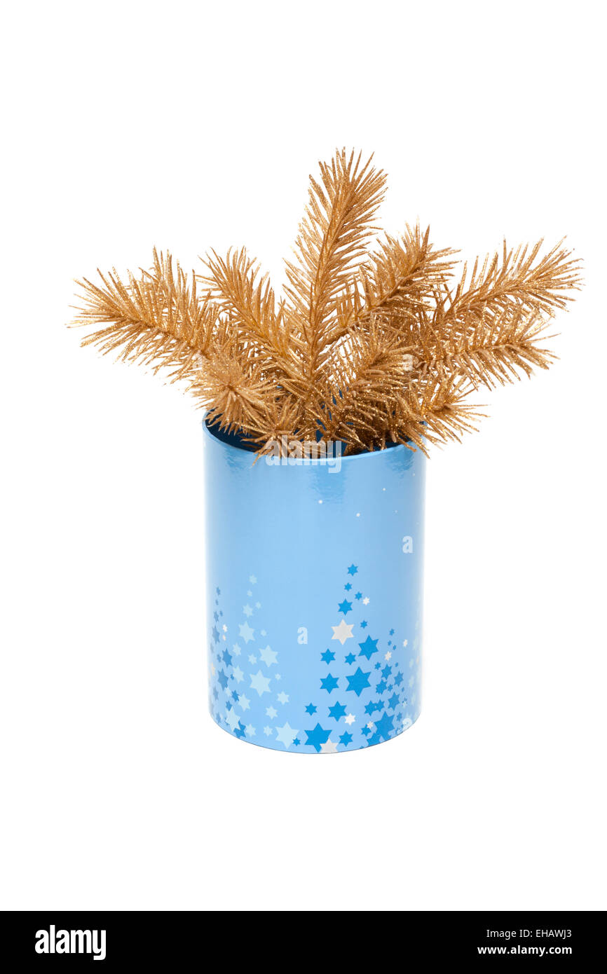 Golden branch fir tree Stock Photo - Alamy