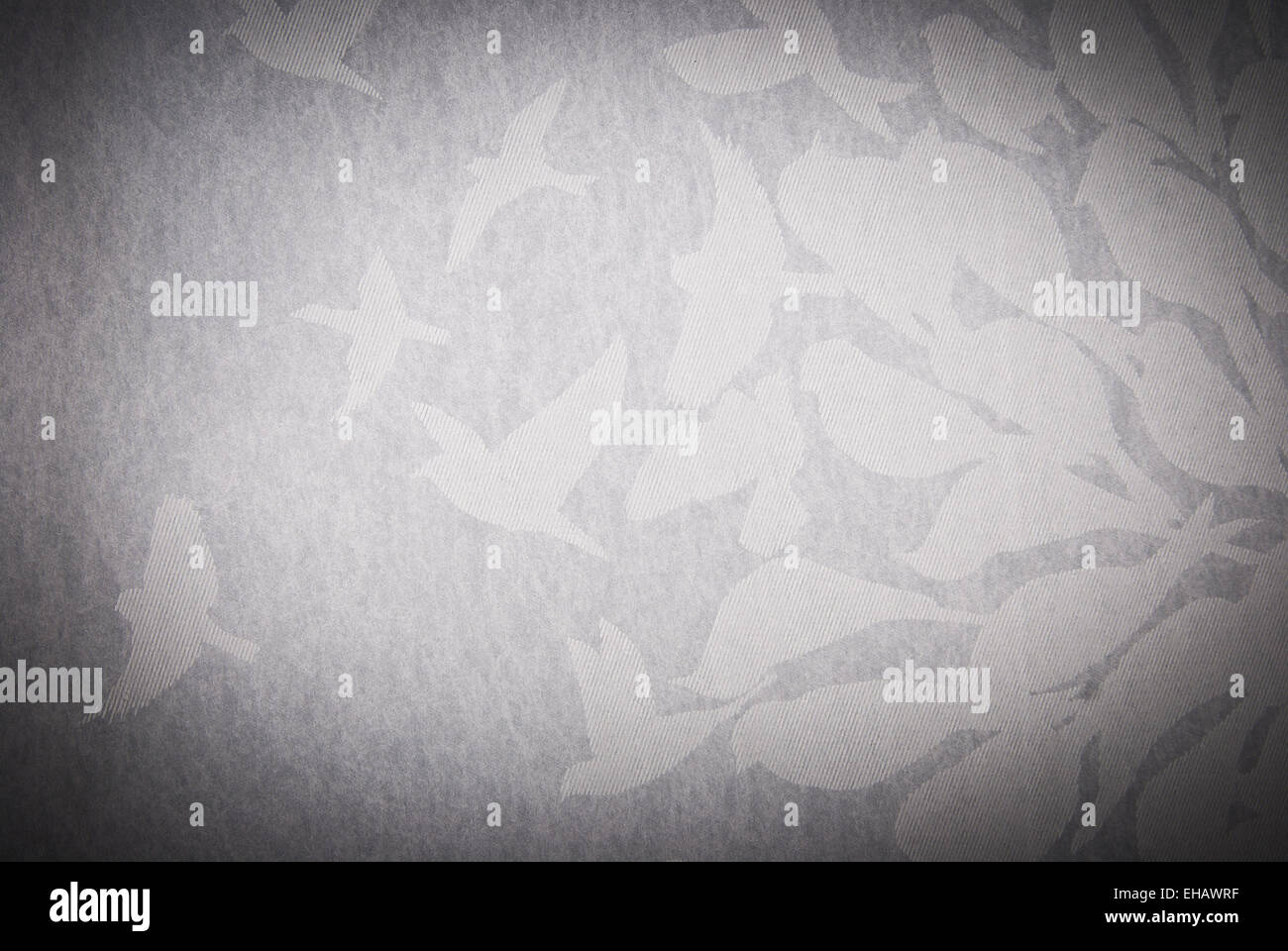 Abstract bird background hi-res stock photography and images - Alamy