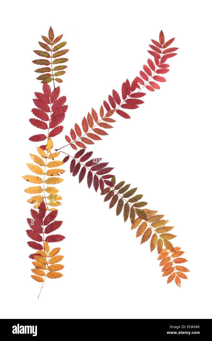 Letter of the alphabet K Stock Photo - Alamy