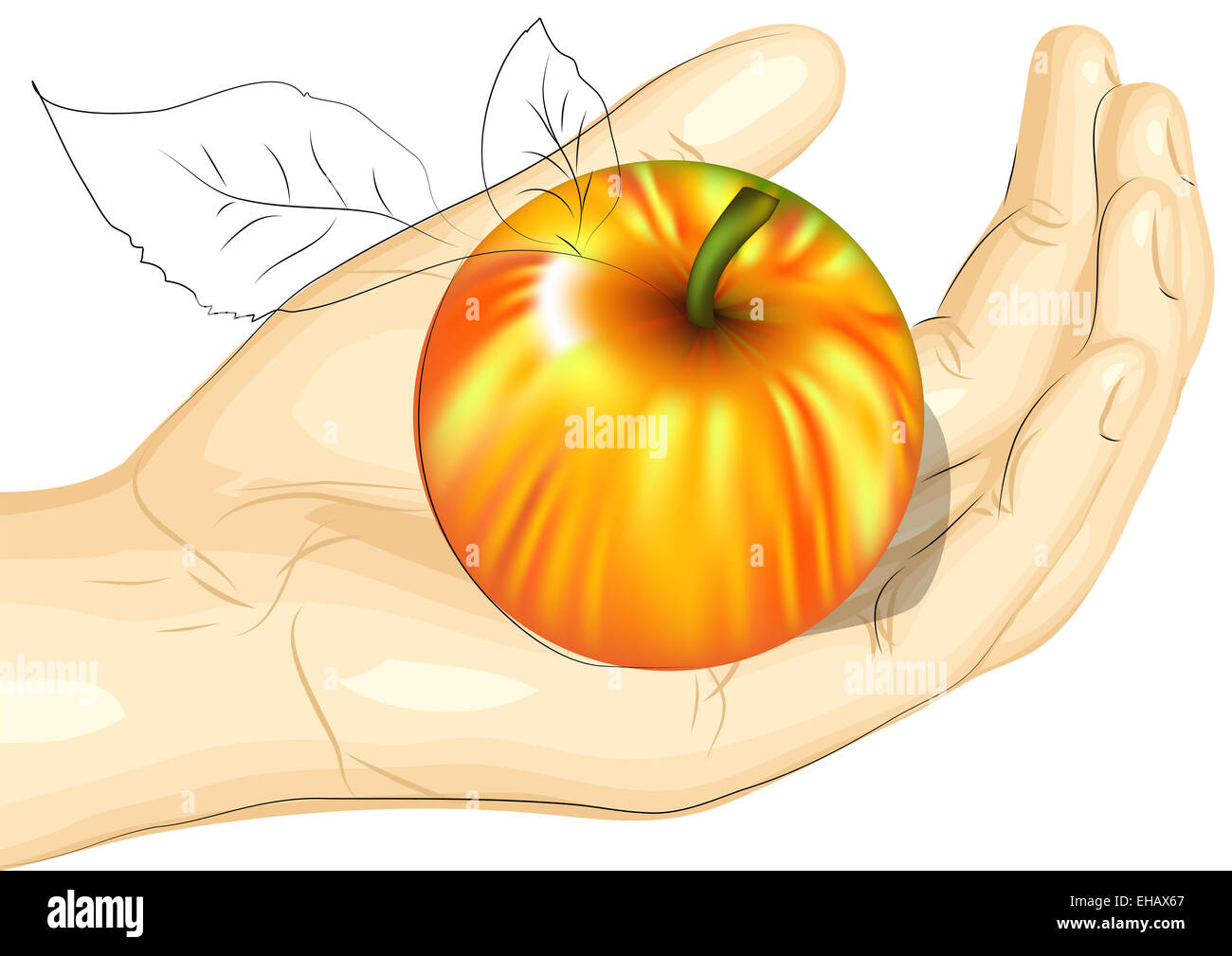 male hand and apple isolated on a white background Stock Photo - Alamy