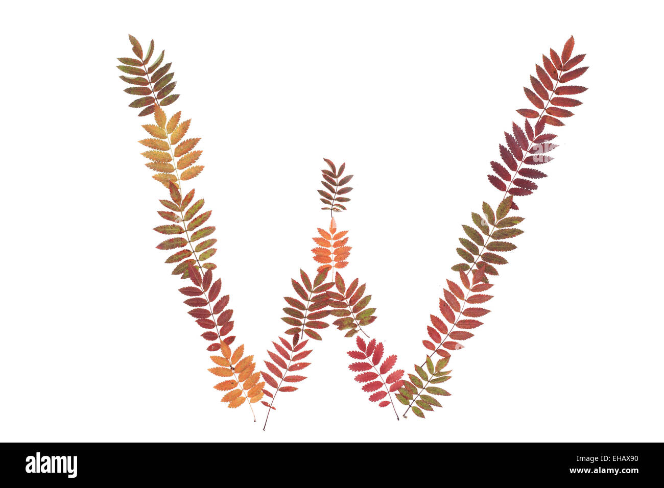 Letter of the alphabet W Stock Photo - Alamy