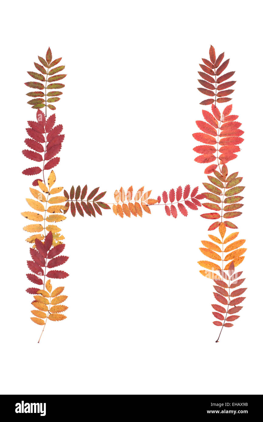 Letter of the alphabet H Stock Photo - Alamy