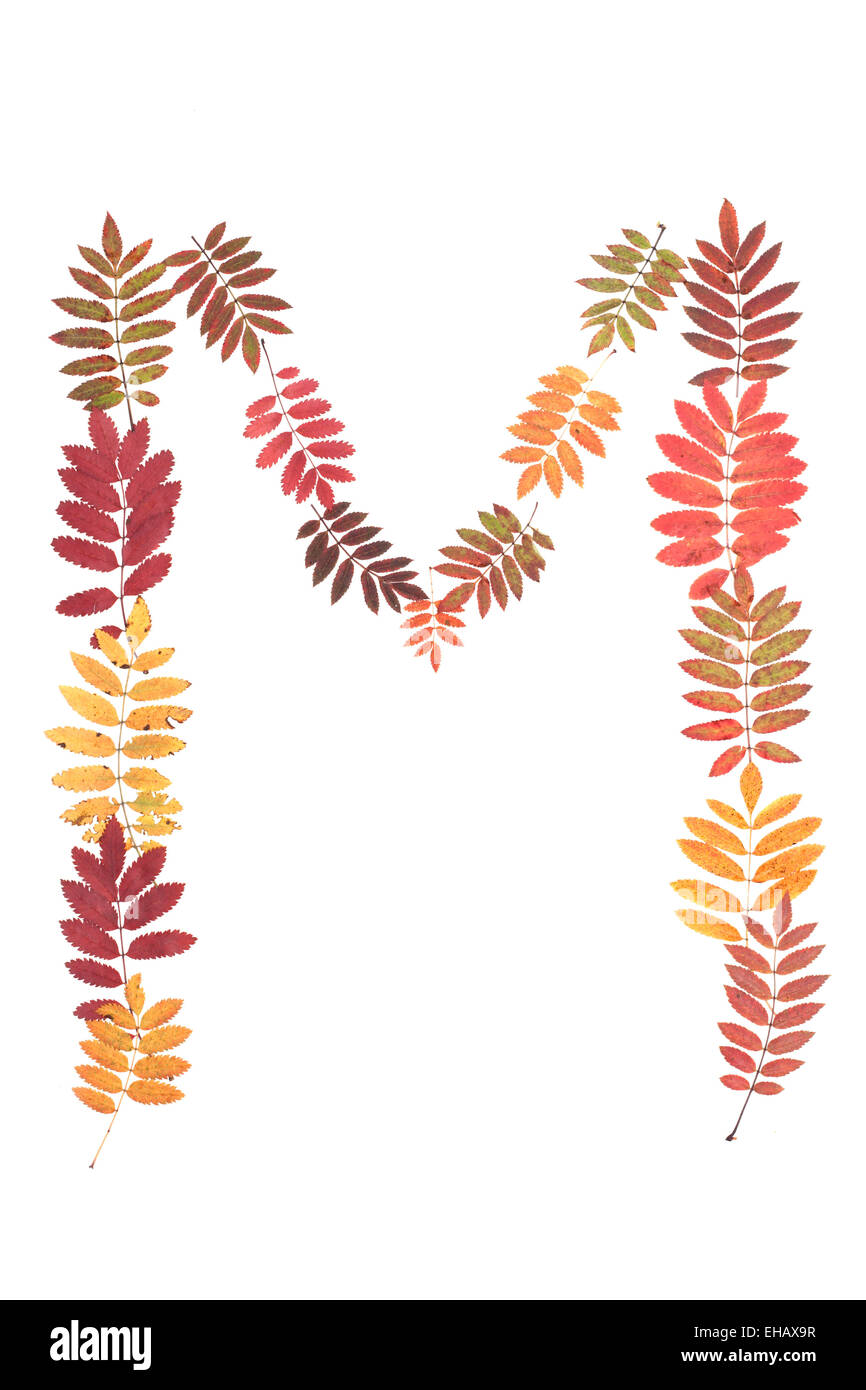 Letter of the alphabet M Stock Photo - Alamy