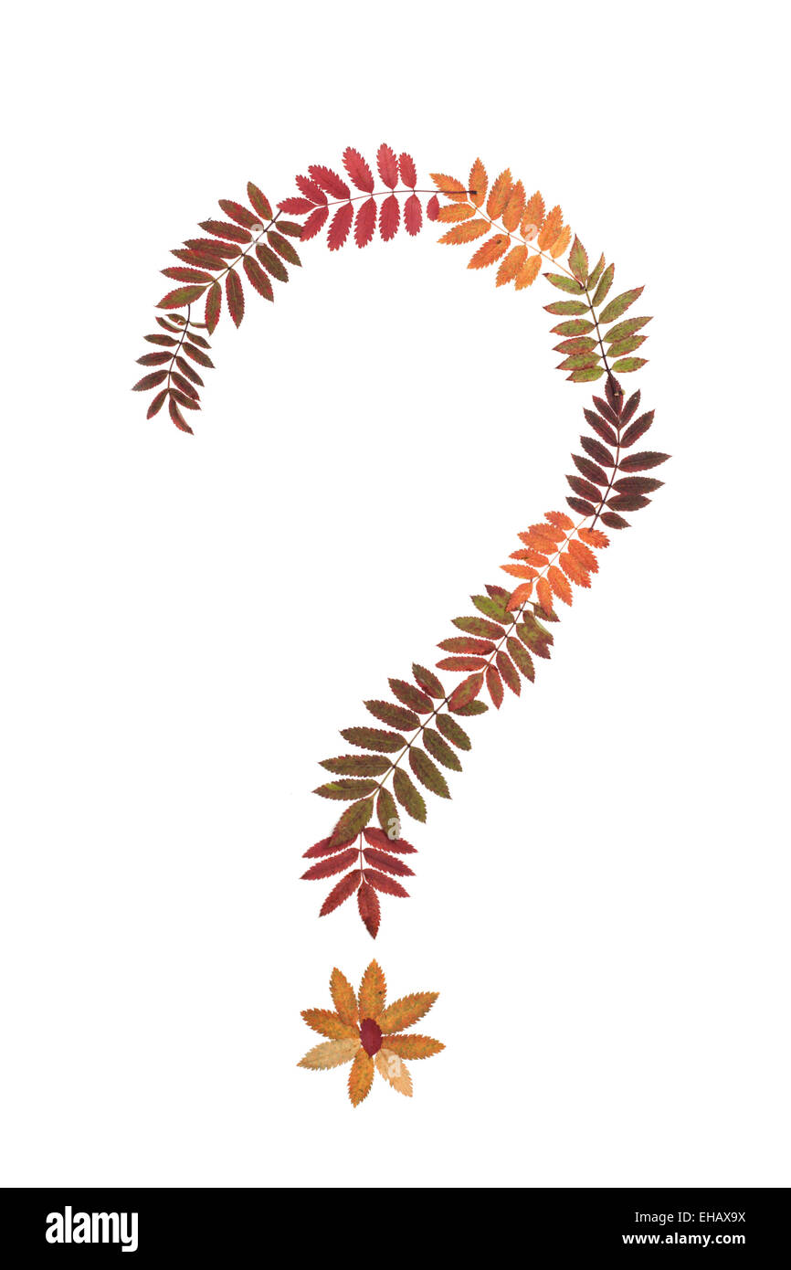 Question mark Stock Photo - Alamy