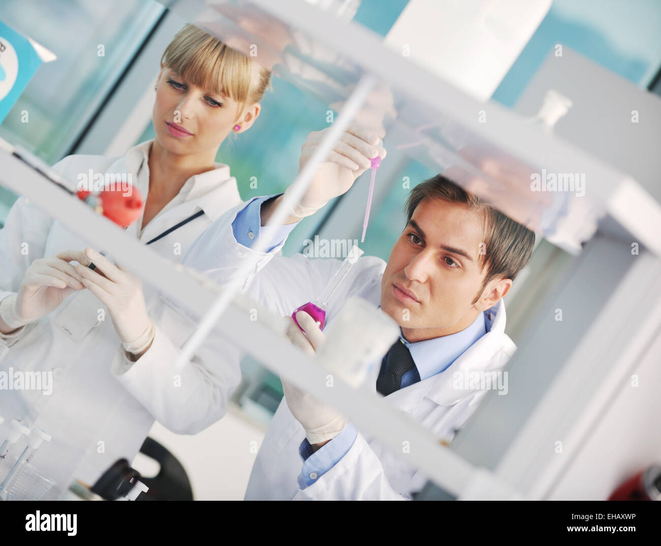 science people in bright lab Stock Photo - Alamy
