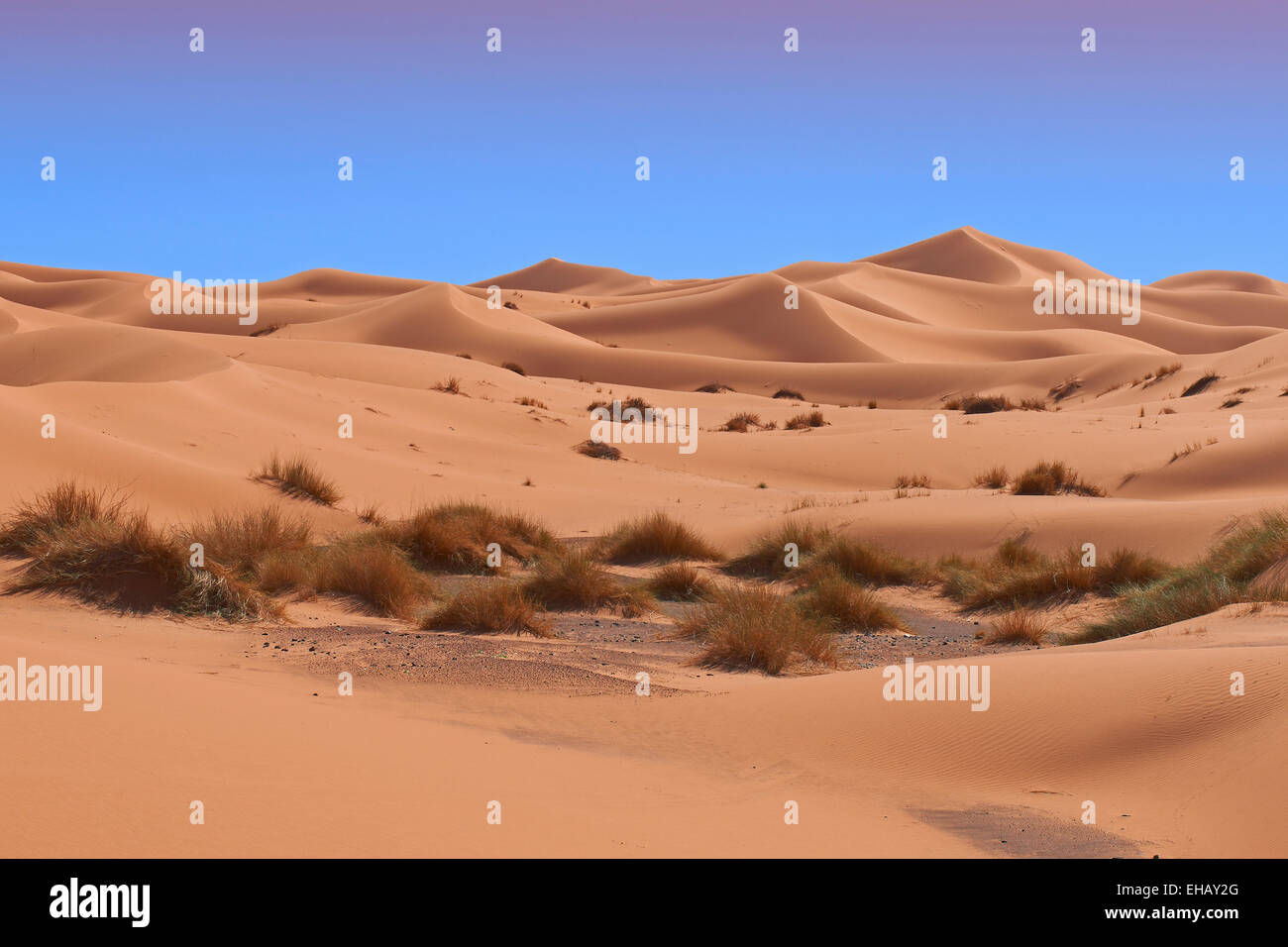 Merzouga, Erg Chebbi, Merzouga sand dunes, Sahara Desert, Morocco ...