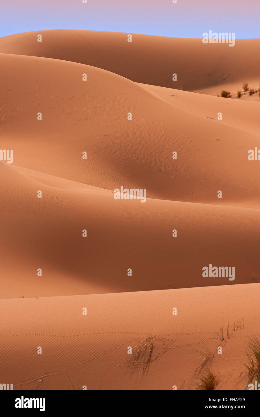 Merzouga, Erg Chebbi, Merzouga sand dunes, Sahara Desert, Morocco ...