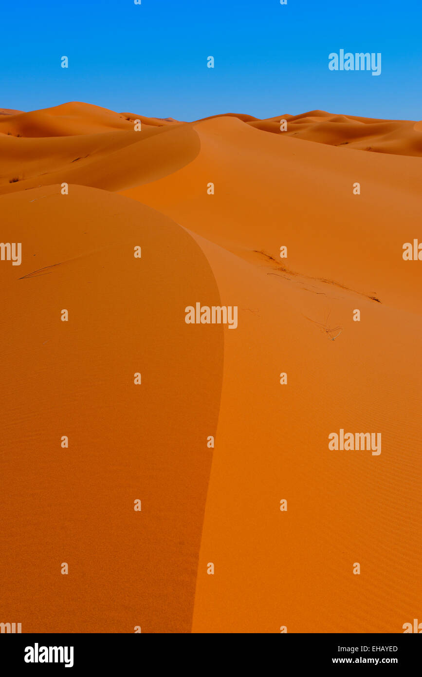 Merzouga, Erg Chebbi, Merzouga sand dunes, Sahara Desert, Morocco ...