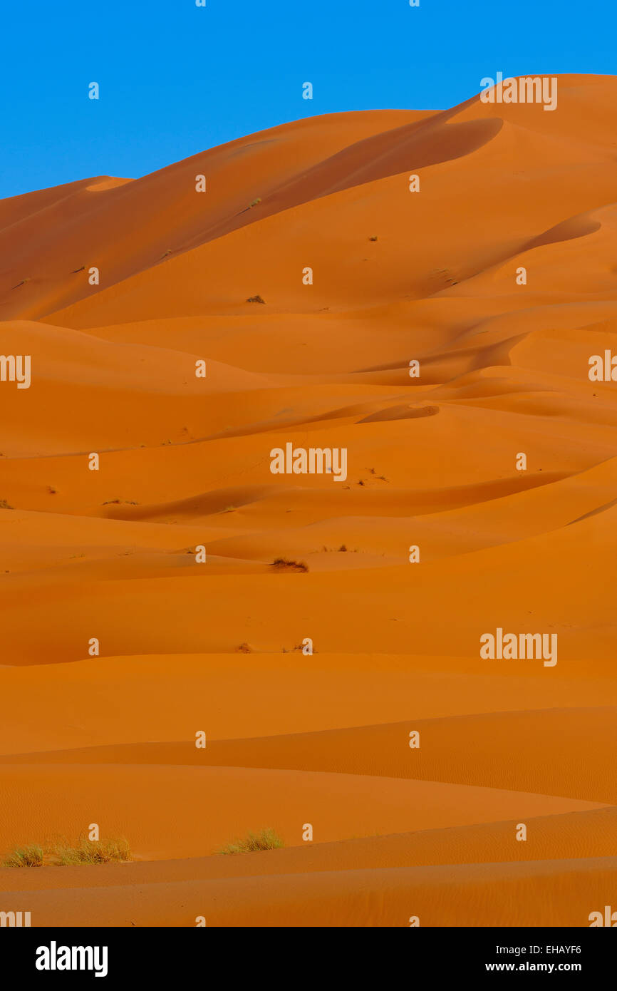 Merzouga, Erg Chebbi, Merzouga sand dunes, Sahara Desert, Morocco ...