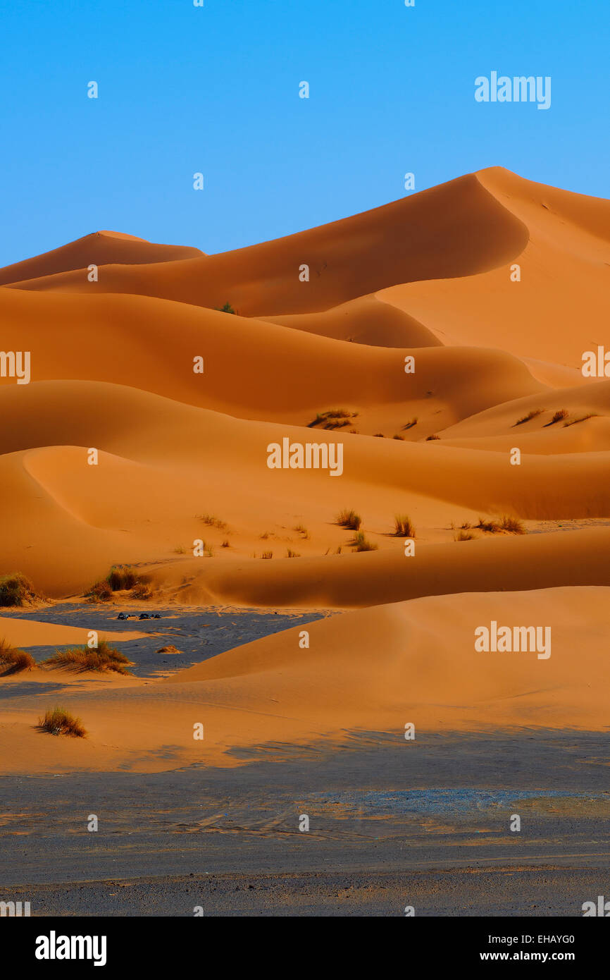 Merzouga, Erg Chebbi, Merzouga sand dunes, Sahara Desert, Morocco ...