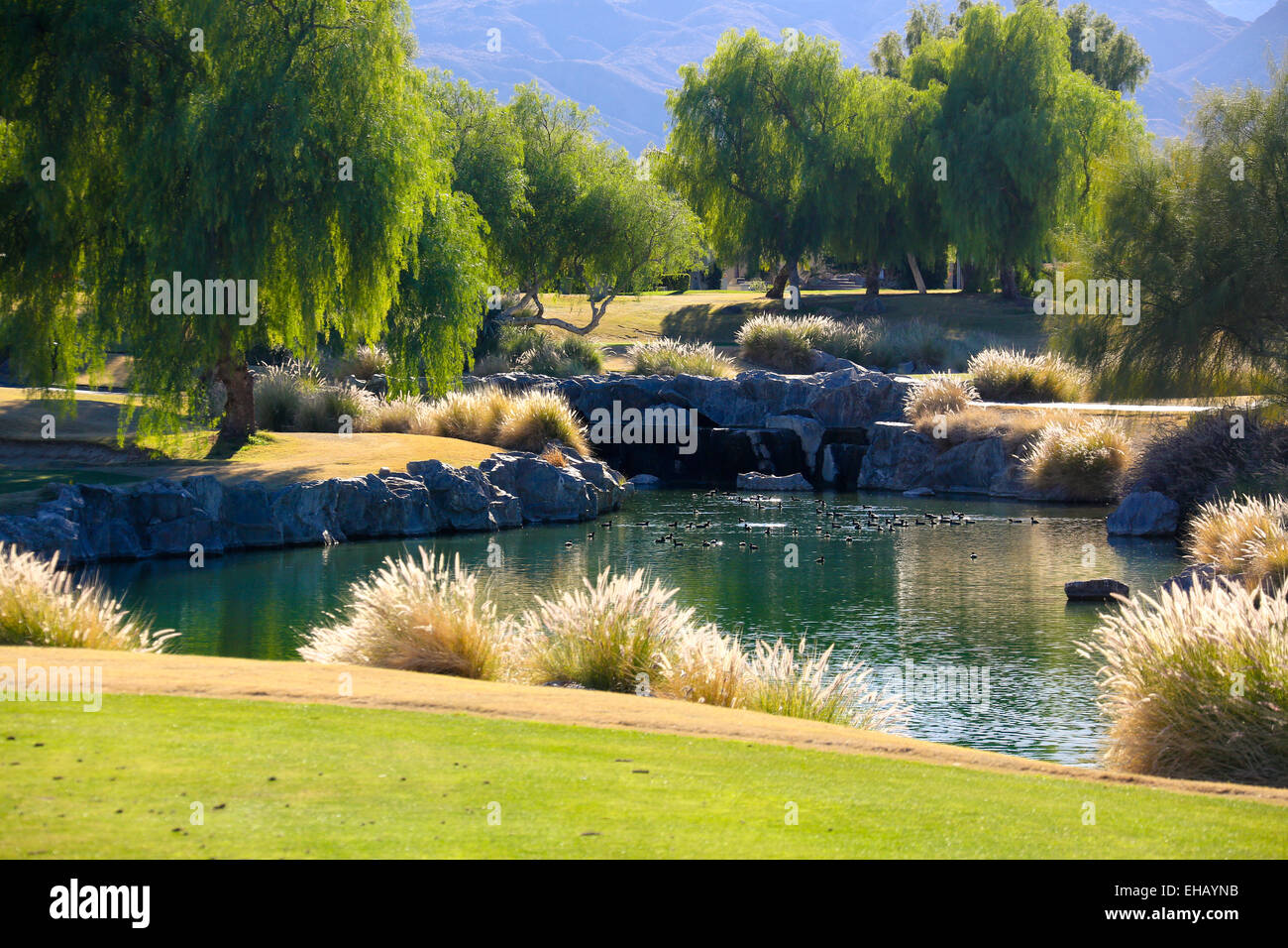 A golf course pond Stock Photo - Alamy