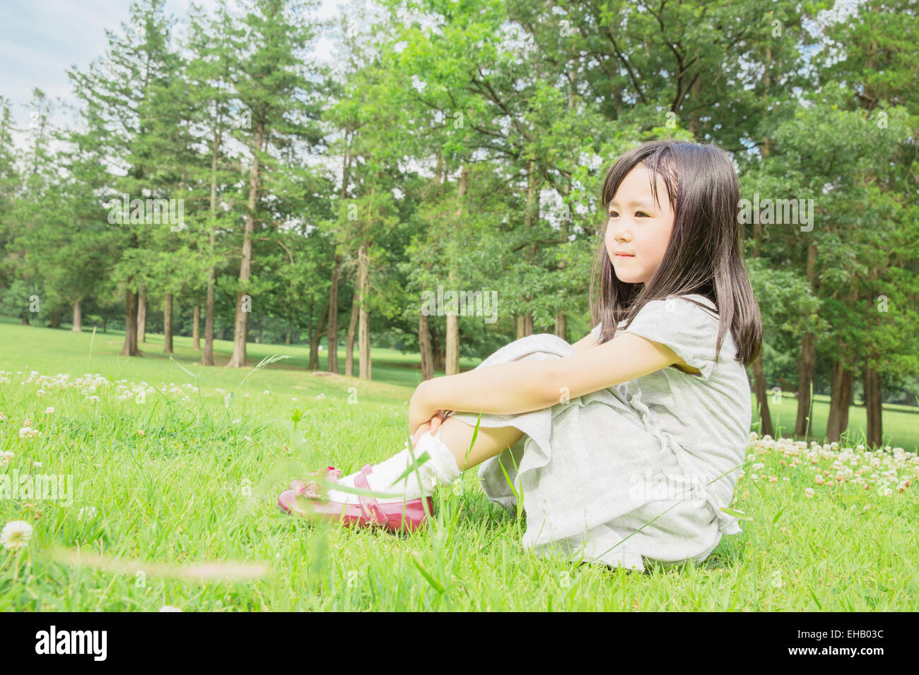 Japanese kid sitting on grass in a park Stock Photo - Alamy