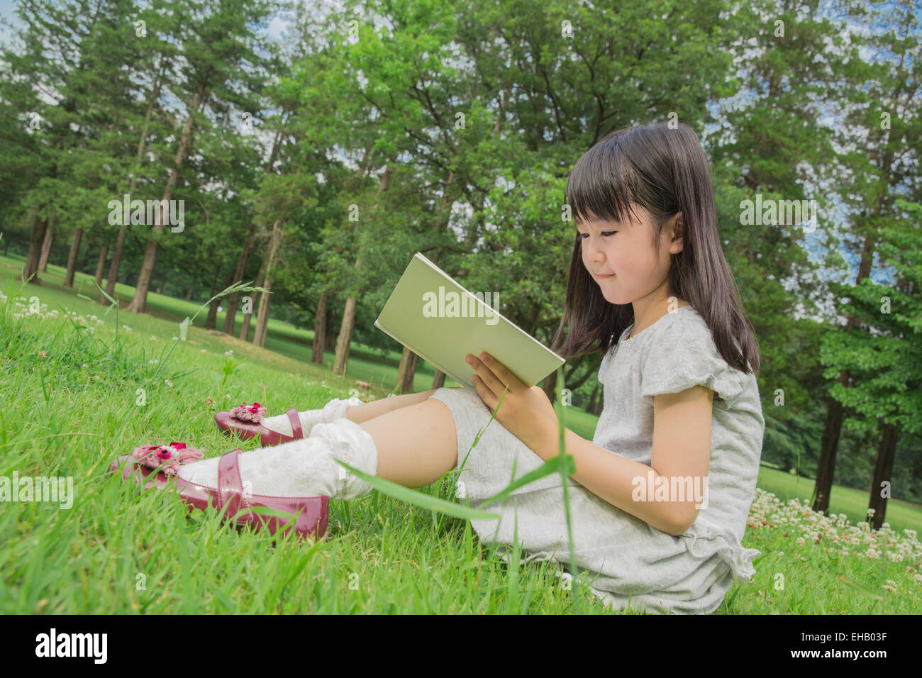 Japanese kid sitting on grass with a book in a park Stock Photo - Alamy