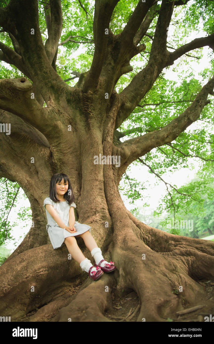 Japanese kid sitting on big tree in a park Stock Photo - Alamy