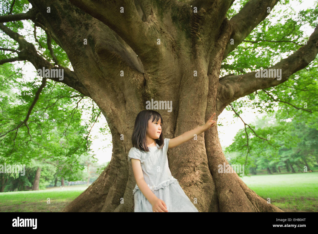 Japanese kid sitting on big tree in a park Stock Photo - Alamy