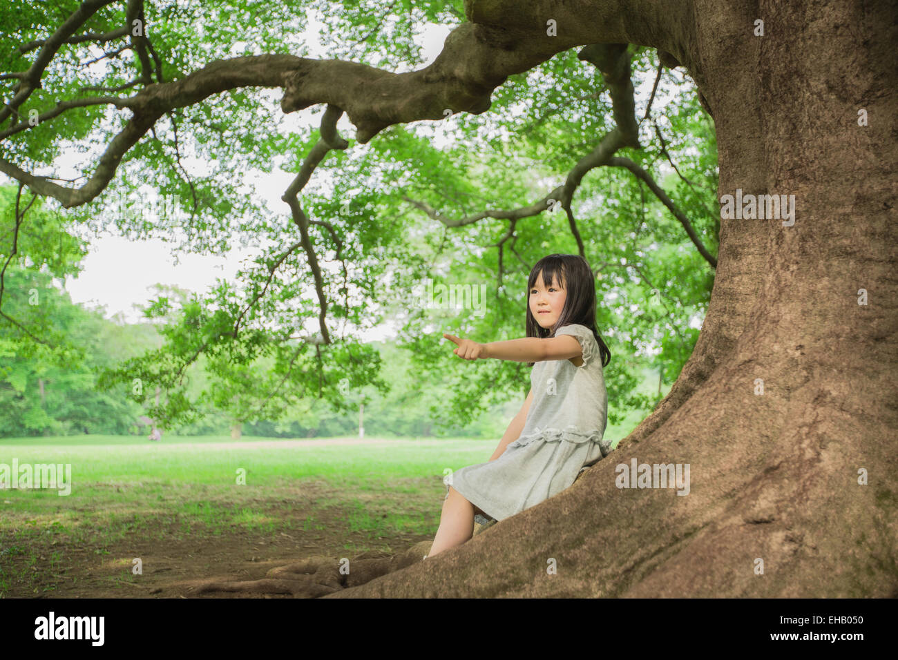 Japanese kid sitting on big tree in a park Stock Photo - Alamy