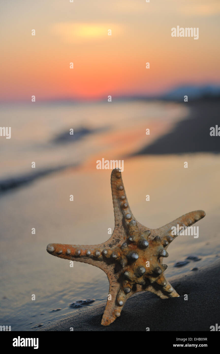 summer beach sunset with star on beach Stock Photo - Alamy
