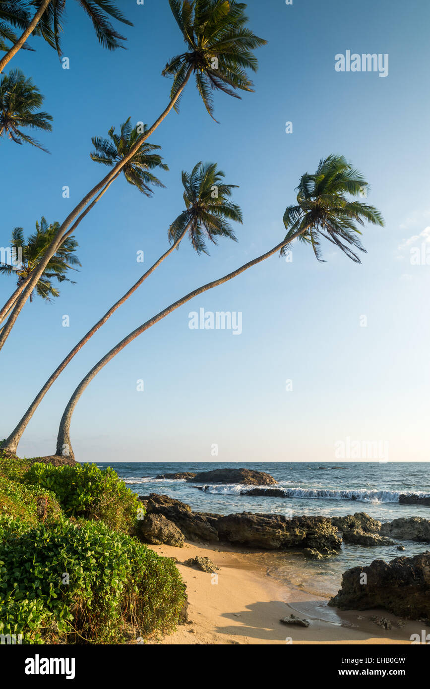 Koggala Beach, Sri Lanka Stock Photo - Alamy