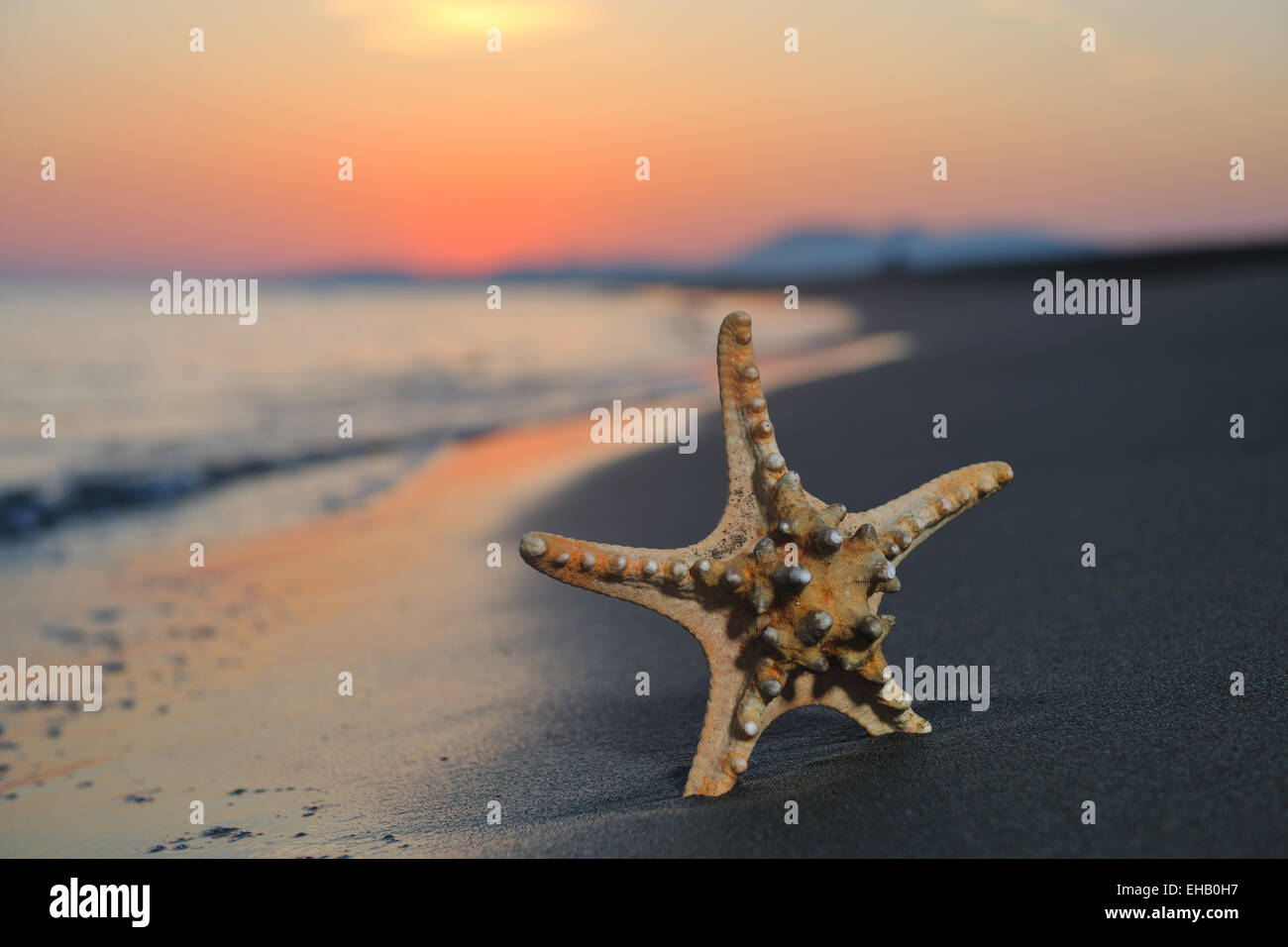 summer beach sunset with star on beach Stock Photo - Alamy