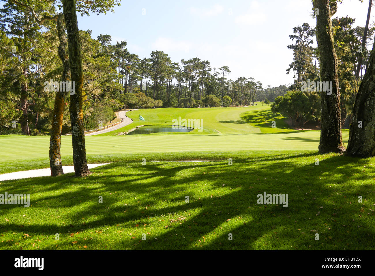 The green golf course Stock Photo - Alamy